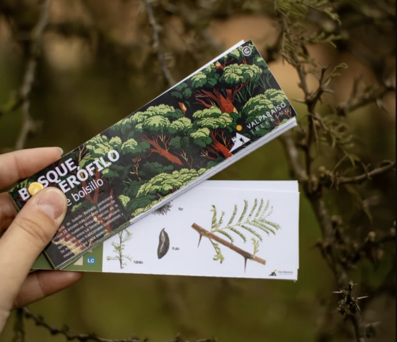 BOSQUE ESCLEROFILO – Geobooks- Libreria de Viajes, Flora y Fauna de ...