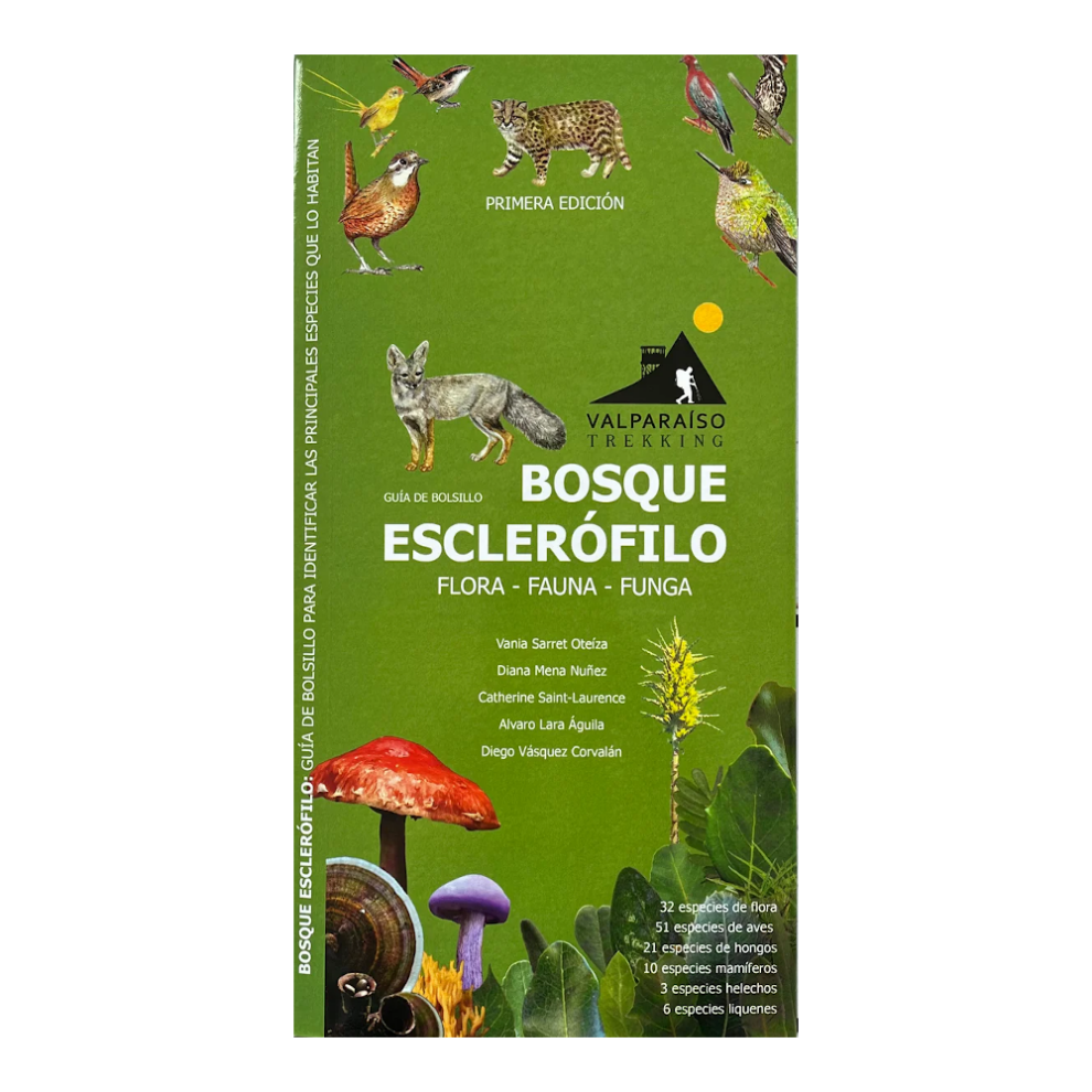 Guía plegable: Bosque Esclerófilo (flora, fauna y funga) – Geobooks ...
